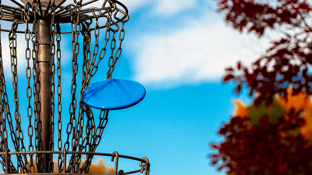 Trash Panda Disc Golf