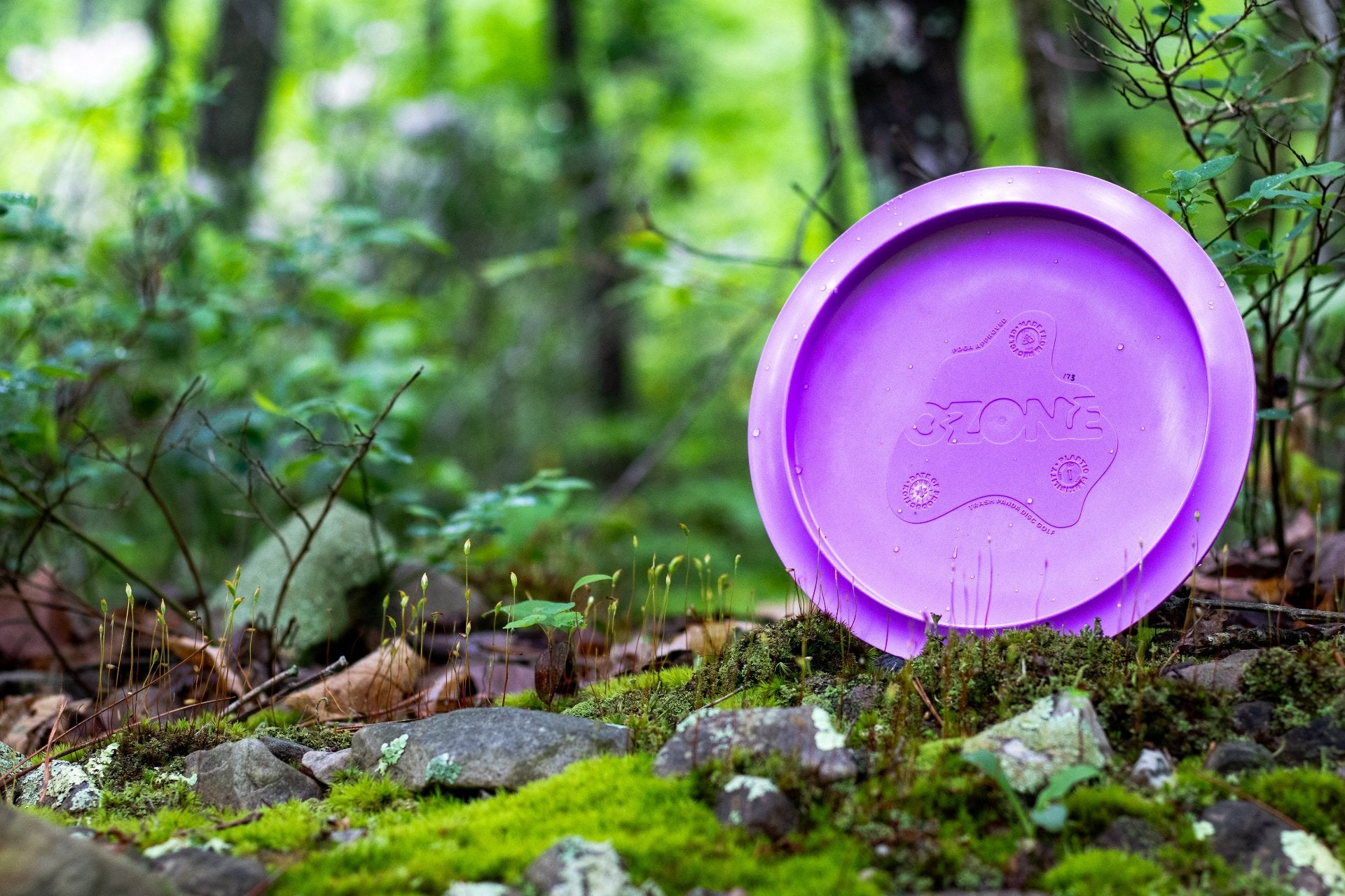 Trash Panda Disc Golf