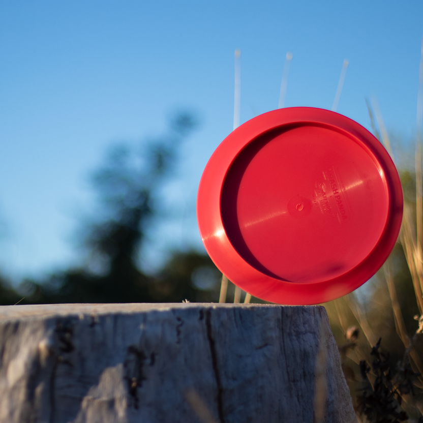 Trash Panda Disc Golf