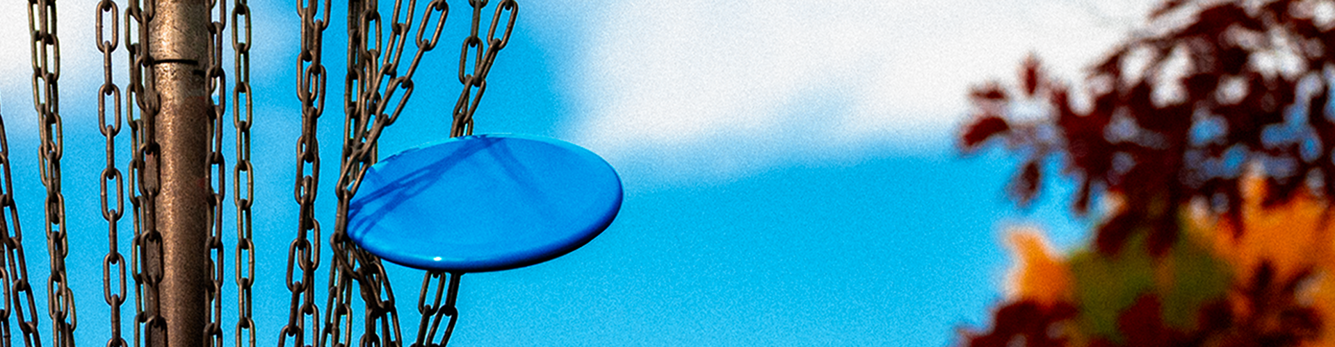 Discs + Minis – Trash Panda Disc Golf